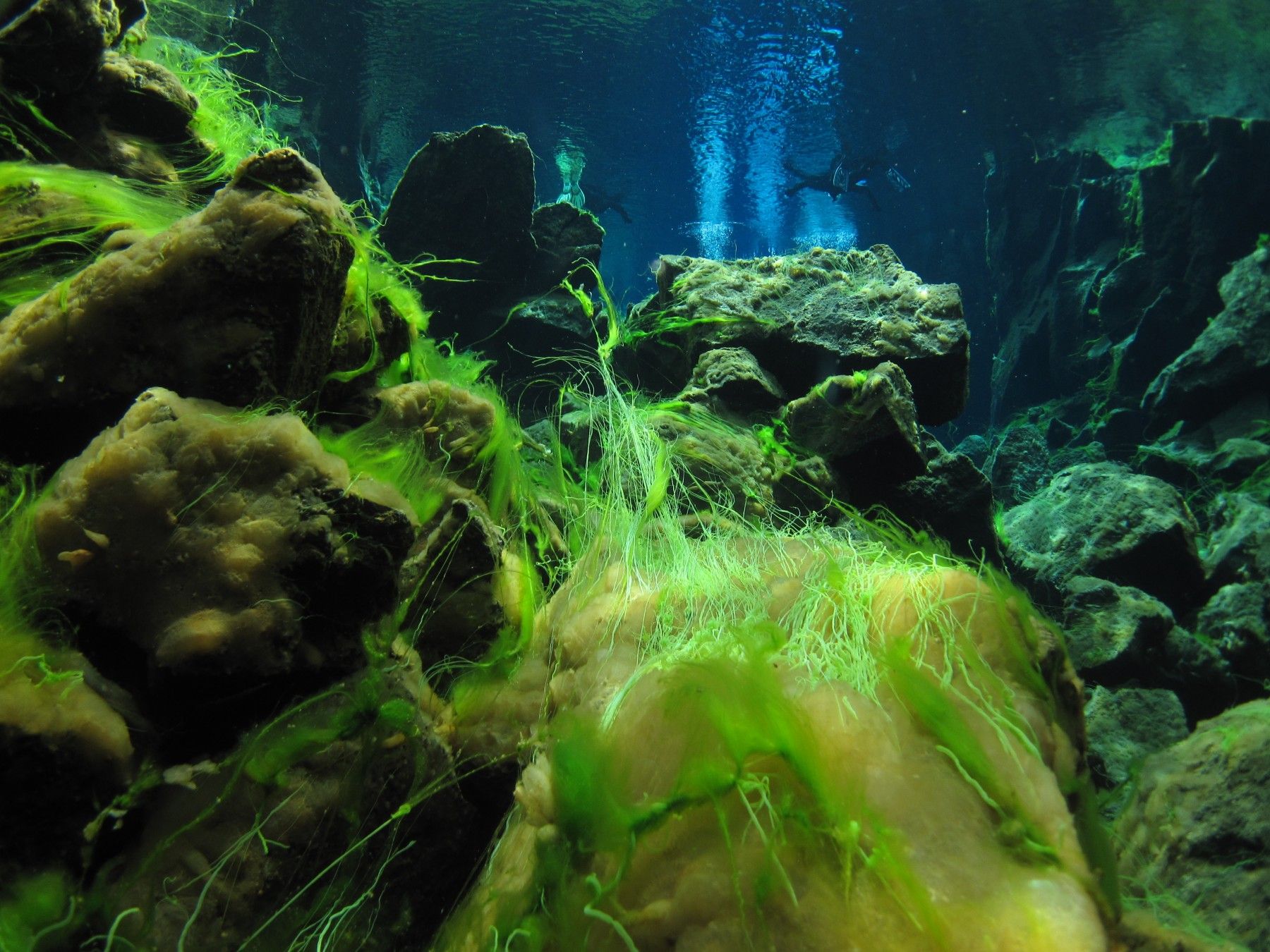 Dive Site Silfra in Thingvellir National Park, Iceland - DIVE.IS - Silfra