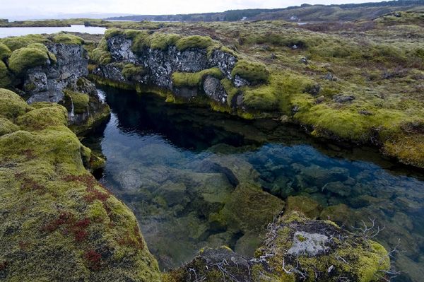 Dive Site Silfra in Thingvellir National Park, Iceland - DIVE.IS - Silfra