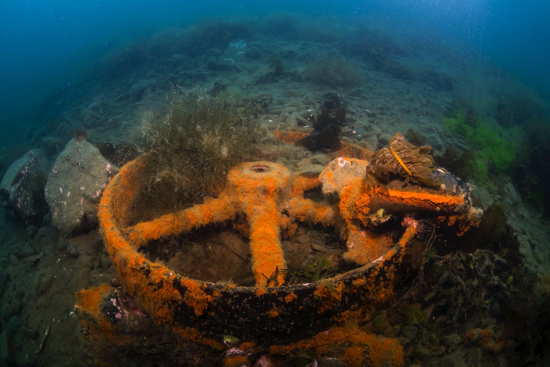 Westfjords - DIVE.IS - Iceland