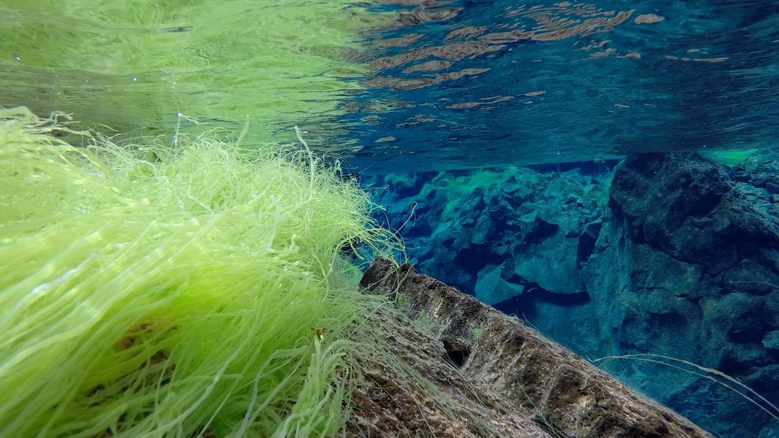 Silfra Night Freedive Tour - DIVE.IS - Iceland